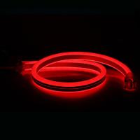 China 220V RGB LED Neon Flex Light IP68 Waterproof Christmas Decoration Customised for sale