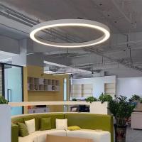 China Adjustable Oval Suspended Dimmable Linear Led Light 1800mm For Gym Showroom for sale
