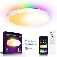 China Smart Tuya WiFi LED Round Ceiling Light RGBCW Surface Mounted OEM for sale