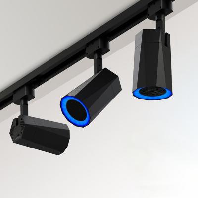 China Track Rail RGB Speaker 12w Rail Adjustable Design Commercial System Lighting Speaker for Store and Showroom for sale