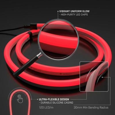 China Cuttable Silicone LED Neon Flex Light 12V 24V RGB Multi Color Custom Length for Architectural Retail Lighting for sale