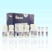 China BeaverBeads Wastewater Nucleic Acid Kit - 38 Minute Processing, 200µL-500mL Sample Volume, Magnetic Bead Technology for sale