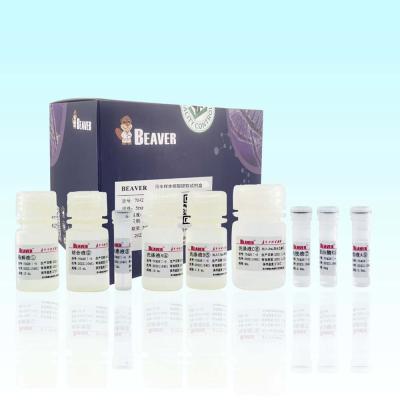 China BeaverBeads Wastewater Nucleic Acid Kit - 38 Minute Processing, 200µL-500mL Sample Volume, Magnetic Bead Technology for sale