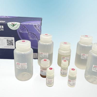 China BeaverBeads Circulating DNA Extraction Kit 0.5-5mL Serum Plasma for Prenatal Diagnosis Tumor Screening for sale