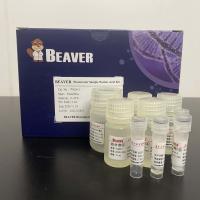 China OEM Beaver Beads Nucleic Acid Kit for Aviation Wastewater Testing - 38 Minute Processing, 24-96 Samples for sale