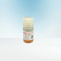 China 100mL 2.8 μm Oligo dT Magnetic Beads for DNA Library Construction Kit - 400 pmol/mg Concentration for sale