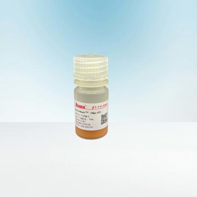 China 100mL 2.8 μm Oligo dT Magnetic Beads for DNA Library Construction Kit - 400 pmol/mg Concentration for sale
