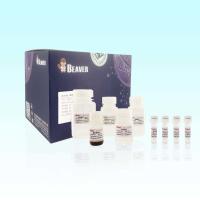 China BeaverBeads Blood RNA Extraction Kit - 10/100 Reactions, High Compatibility with Automated Workstations for sale