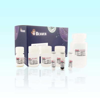 China BeaverBeads Blood RNA Kit for Total RNA Extraction from Whole Blood - 10 to 100 Reactions for sale