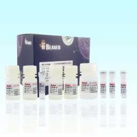 China BeaverBeads Wastewater Nucleic Acid Kit - Magnetic Bead Isolation for 24-96 Samples in 38 Minutes for sale