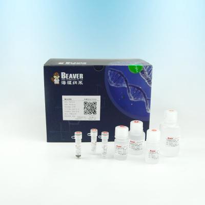 China BeaverBeads 70405 Saliva DNA Kit - 100 Reactions for 0.2-1.0 mL Sample Volumes with A260/280 >1.7 for sale