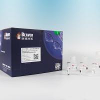 China Protein A/G Immunoprecipitation Kit High Efficiency High Capacity Low Consumption for sale
