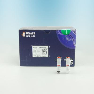 China BeaverBeads DNA Select Isolation Kit for NGS Library Building - 5mL, 60mL, 450mL Sizes for sale