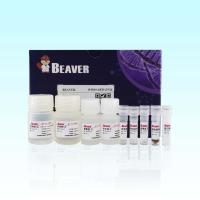 China BeaverBeads Plant DNA Kit 100 Rxns Magnetic Bead Extraction for Gene Breeding for sale