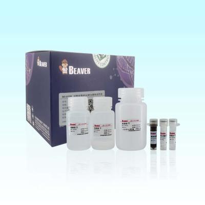 China BeaverBeads Pre Filled Animal Viral DNA RNA Kit 96 Rxns for Complex Samples for sale