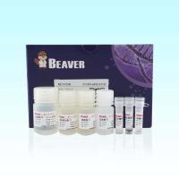 China BeaverBeads Tissue DNA Kit 20 Rxns High Purity Genomic DNA Extraction for sale