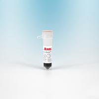 China 10 mL BeaverBeads Magnetic Beads NHS 300 nm for Cell Isolation with 90% Binding Efficiency for sale