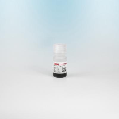 China BeaverBeads DEAE Magnetic Beads 30-150 μm for Protein Purification Fast Magnetic Response for sale