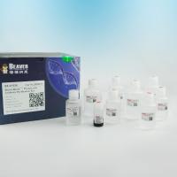 China BeaverBeads Protein A Protein G Antibody Purification Beads 30 mg/mL 2 μm for sale
