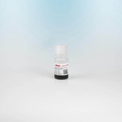 China NHS Activated Superparamagnetic Beads Covalent Binding Protein A 30 mg/mL 2 μm for sale