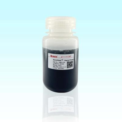 China BeaverBeads Magrose Protein G 100ml 10-30um for Protein Purification for sale