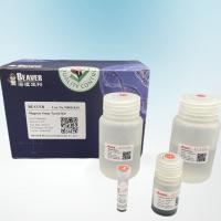 China BeaverBeads Magrose Strep-Tactin 5 mL 10% v/v High Purity Magnetic Beads for Strep II-tag Protein Purification for sale