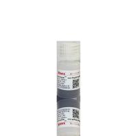 China Immunoassay-Grade Magnetic Polymer Beads 1μm Size with 10 mg/mL Concentration for Medical Research for sale