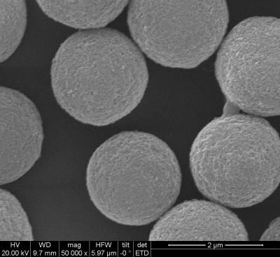 China Fe3O4 Magnetic Polymer Beads for Immunodiagnosis - 2.8μm Size, 10 mg/mL Concentration, 50 mL Volume for sale