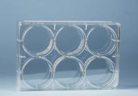 China 6-Well TCT Plate Cell Culture Consumables - 9.5 cm² Area, 16.74 mL Volume, γ-Ray Sterilized for sale