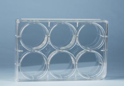 China 6-Well TCT Plate Cell Culture Consumables - 9.5 cm² Area, 16.74 mL Volume, γ-Ray Sterilized for sale