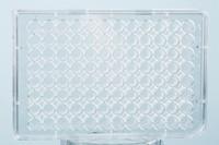 China High Binding 96-Well ELISA Plate with 600ng/cm² Protein Adsorption Capacity and <5% Batch Variation for sale
