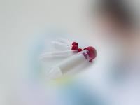 China 15mL Sterile Centrifuge Tubes with Conical Bottom - Medical Grade PP, 8000g RCF, Bulk Packaging for sale