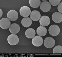 China Polymer Carboxyl Magnetic Beads 300nm 10 mg/mL for Immunodiagnosis with 60 μmol/g COOH Content for sale