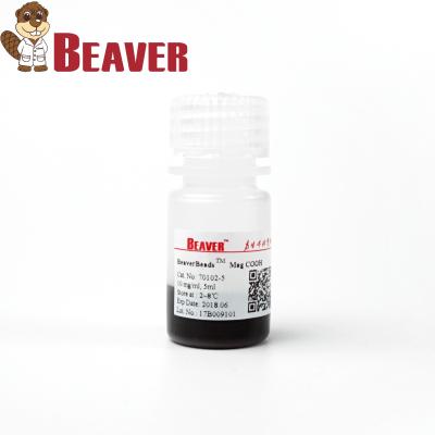 China cfDNA Extraction Silica Magnetic Beads 500nm 10 mg/mL 5 mL - Superparamagnetic Nucleic Acid Purification for sale