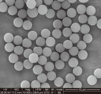 China 1μm Carboxylated Magnetic Beads 10 mg/mL 50 mL for Immunodiagnosis with Superparamagnetic Properties for sale