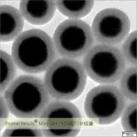 China Viral RNA Extraction Silica Magnetic Beads 500nm 10mg/mL 50mL for DNA/RNA Purification for sale