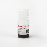 China Silica Amino Magnetic Beads for Protein Purification - 500nm Particle Size, 10 mg/mL Concentration, 5 mL Volume for sale