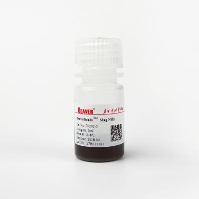 China Silica Amino Magnetic Beads for Protein Purification - 500nm Particle Size, 10 mg/mL Concentration, 5 mL Volume for sale