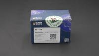 China 250ml BeaverBeads PCR Purification Kit for DNA Library Construction - 150bp-50kb Range, 80% Recovery Rate for sale