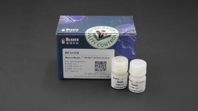 China 250ml BeaverBeads PCR Purification Kit for DNA Library Construction - 150bp-50kb Range, 80% Recovery Rate for sale
