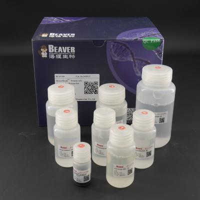 China 2μm Protein A/G Antibody Purification Kit with 30 mg/mL Binding Capacity and 25 mL Format for Protein Isolation for sale