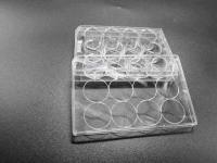 China 12-Well Tissue Culture Treatment Plate - 9.5 cm² Well Area, 16.74 mL Capacity, Gamma Sterilized Cell Culture Consumables for sale