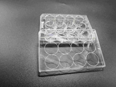 China 12-Well Tissue Culture Treatment Plate - 9.5 cm² Well Area, 16.74 mL Capacity, Gamma Sterilized Cell Culture Consumables for sale