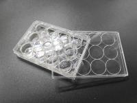 China 12-Well Tissue Culture Treatment Plate - 9.5 cm² Well Area, 16.74 mL Capacity, Gamma Sterilized Cell Culture Consumables for sale