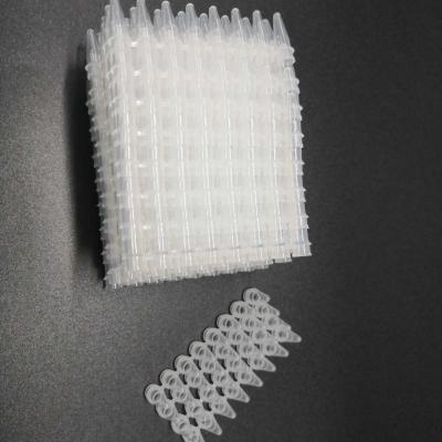 China 0.1mL PCR 8-Strip Tubes Clear Low Profile No Cover - Medical Grade Polypropylene for Laboratory Use for sale