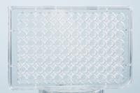 China 96-Well TCT Plate Transparent Cell Culture Consumables with 9.5 cm² Single Hole Area and 16.74 mL Working Volume for sale
