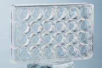 China 24-Well TCT Cell Culture Plate - Polystyrene Material, 9.5 cm² Area, 16.74 mL Volume for Laboratory Research for sale