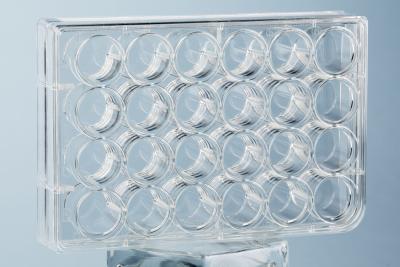China 24-Well TCT Cell Culture Plate - Polystyrene Material, 9.5 cm² Area, 16.74 mL Volume for Laboratory Research for sale