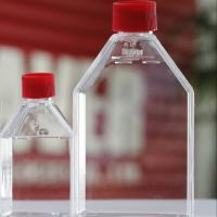 China Suspension Cell Culture Flask 75cm2 Tissue Culture Flask Polystyrene Sterile for sale