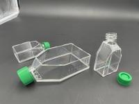 China 75cm² TCT Cell Culture Flask with Vent Cap - Sterile Polystyrene Lab Flask for Enhanced Cell Adhesion for sale